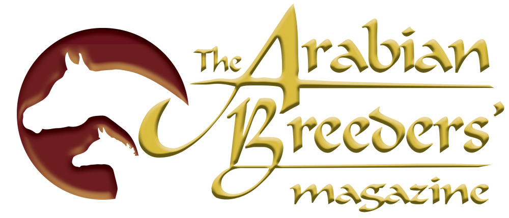 The Arabian Magazine is changing - The Arabian Magazine